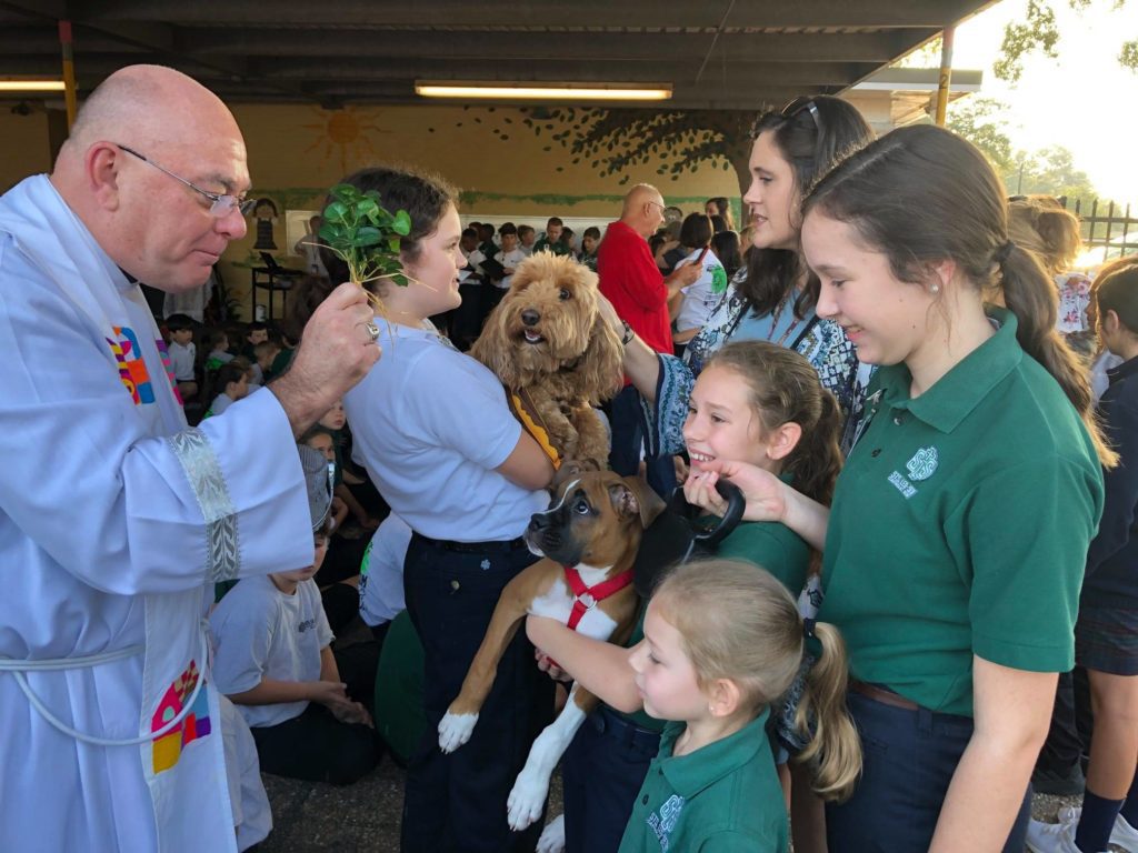 Celebrating the Feast of St. Francis of Assisi - Sts. Leo-Seton ...